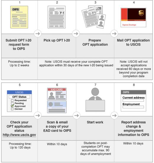Optional Practical Training (OPT) - Office of International Programs ...
